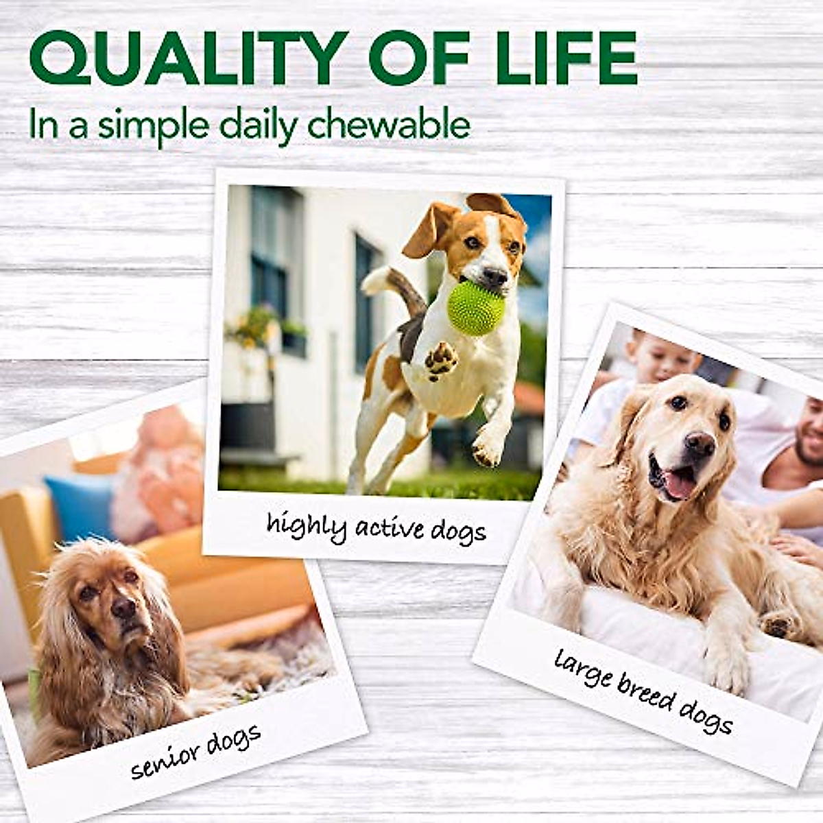 Vet's Best Aspirin Free Aches + Pains Dog Supplement | Vet Formulated for Dog Pain Support and Joint Relief (100 ct (2 Pack))