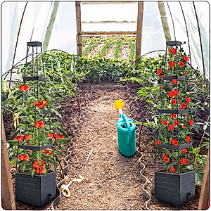 MQFORU Tomato Planter with Trellis, 57" Raised Garden Bed Planters Box for Climbing Vegetables Plant, Self Watering Tomato Support Cages for Garden Pots, Use for Patios Greenhouse Indoor Outdoor（1Pc）