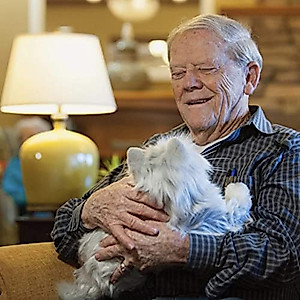 Joy for All - Silver Cat with White Mitts - Interactive Companion Pets - Realistic & Lifelike