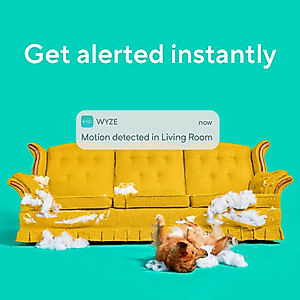 Wyze Cam V2 Pet Monitoring Camera Indoor Security Camera for Dogs & Cats Nursery Elderly Baby Monitor, Compatible with Alexa & Google Home IFTTT,1080p,Audio and Motion