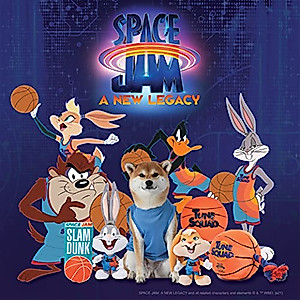 LOONEY TUNES Space Jam 2: Basketball Rope Pull Dog Toy | Fun and Cute Dog Toy Officially Licensed by Warner Bros Space Jam | Large Dogg Chew Toy, 12 in