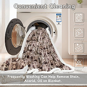 BlessLiving Fuzzy Dog Blanket for Kids Adults Puppy Lovey Fleece Blanket Reversible Animal Pattern Sherpa Throw (Weimaraner, 108x 90 Inches)