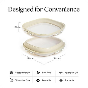 Crudités 4-Pack Portable Snack Tray | Food Containers with Reversible Stretch Lid | BPA-Free, Reusable, Freezer & Dishwasher Safe | Meal-Prep, Charcuterie, Salads, Picnic, Travel (1, Square)