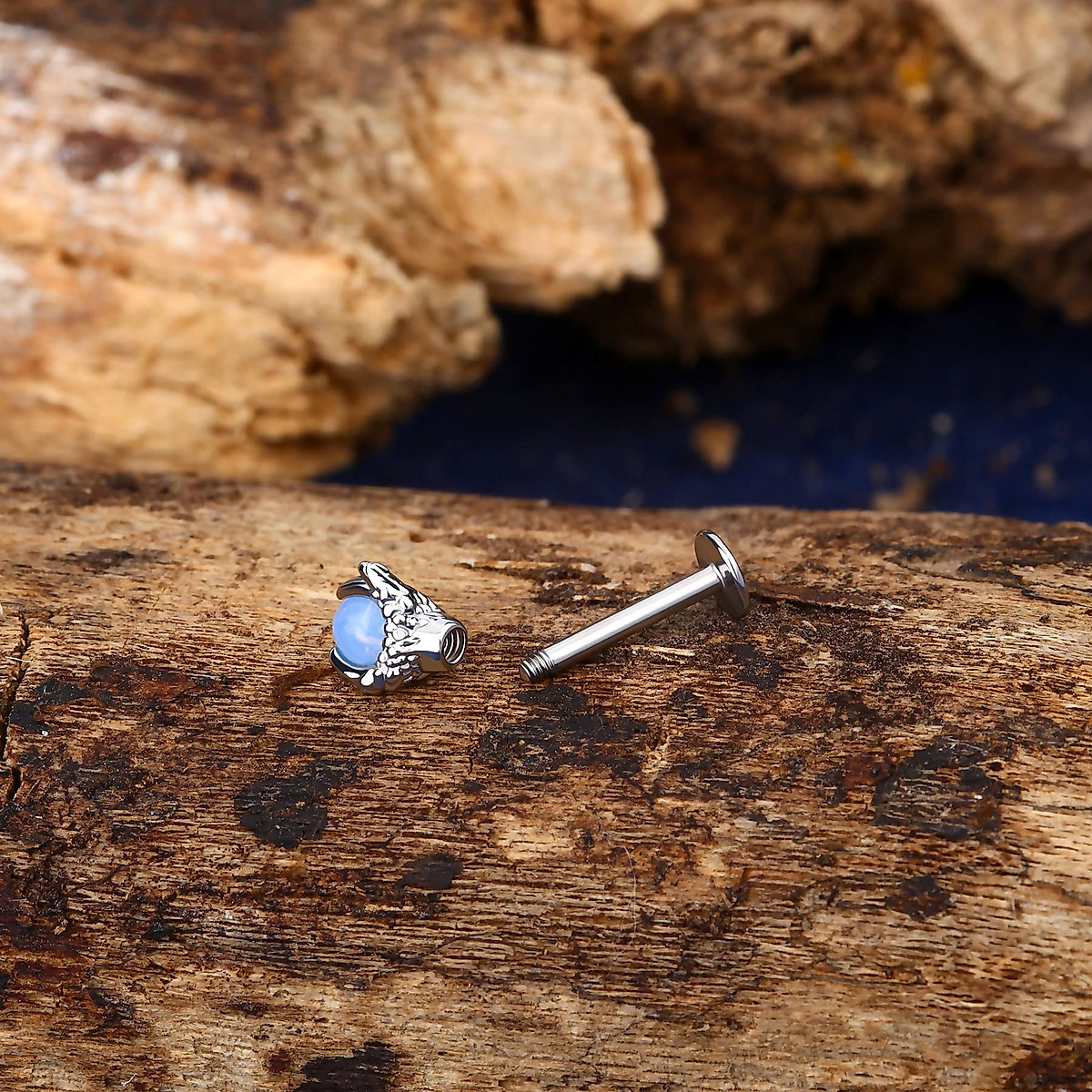 OUFER Helix Earrings 16G Stainless Steel Dragon Claw Tragus Stud Earrings Ear Piercing Jewelry Labret Monroe Lip Rings