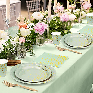 Etsutomy Sage Green Party Supplies, 127PCS Sage Green Paper Plates Napkins Cups Forks Disposable Dinnerware Set Serves 25 Guests, Sage Green Party Decorations for Wedding Baby Shower