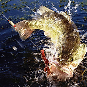 OROOTL Carolina Rig for Bass Fishing, 5pcs CRR Carolina Ready Rigs Pre-Rigged Bass Fishing Weights Carolina Keeper Tackle Sizes 1/4 3/8 1/2 3/4 1oz