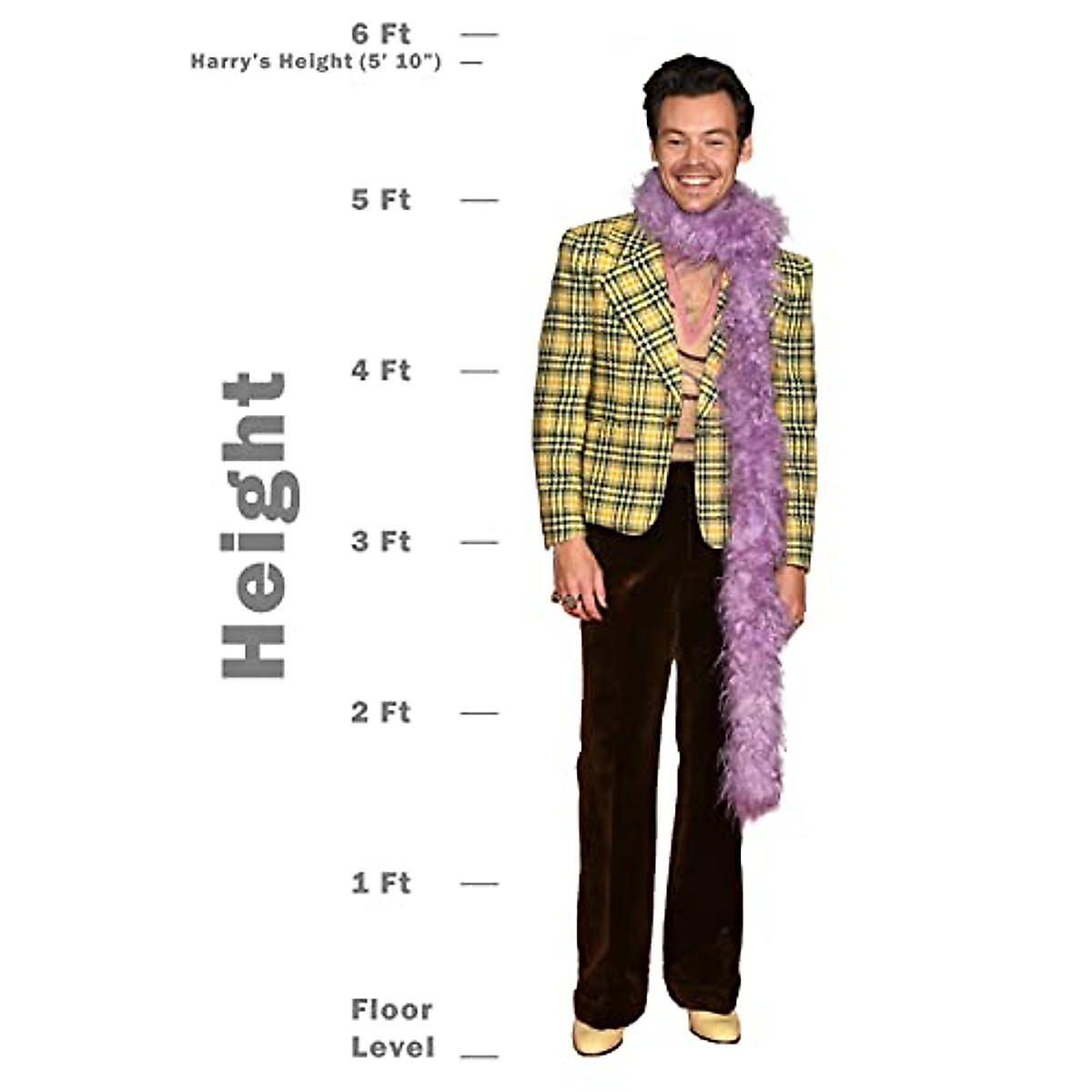 Novelty Native Harry Merch Life Size Cardboard Standee Poster Figure - Creaseless Edition - Gift for Parties, Events, Bedroom Decor, Office