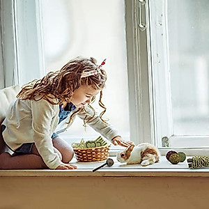 Rabbit Toys Guinea Pig Toys Bunny Toys 23PCS, Rabbit Chew Toys for Teeth Care, Natural No Strong Smell Timothy Hay Sticks Chew Treats and Balls for Bunny, Rabbit, Guinea Pig, Chinchilla, Hamster