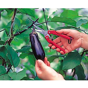 ARS Needle Nose Pruner HP-SE45, Orange