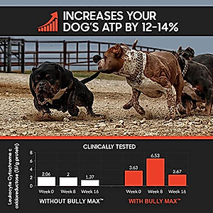 Bully Max 3-IN-1 Liquid Muscle Building Supplement For Dogs. For all breeds & ages. Clinically tested. #1-rated since 2008