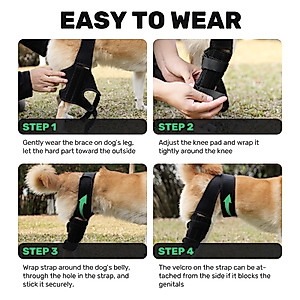 TORJOY Dog Knee Brace Leg Braces - Dog Canine Knee Stifle Brace Wrap Dog Knee Brace for Torn ACL Hind Leg Joint Pain Muscle Sore Pet Brace Reduces Pain and Inflammation (XS)