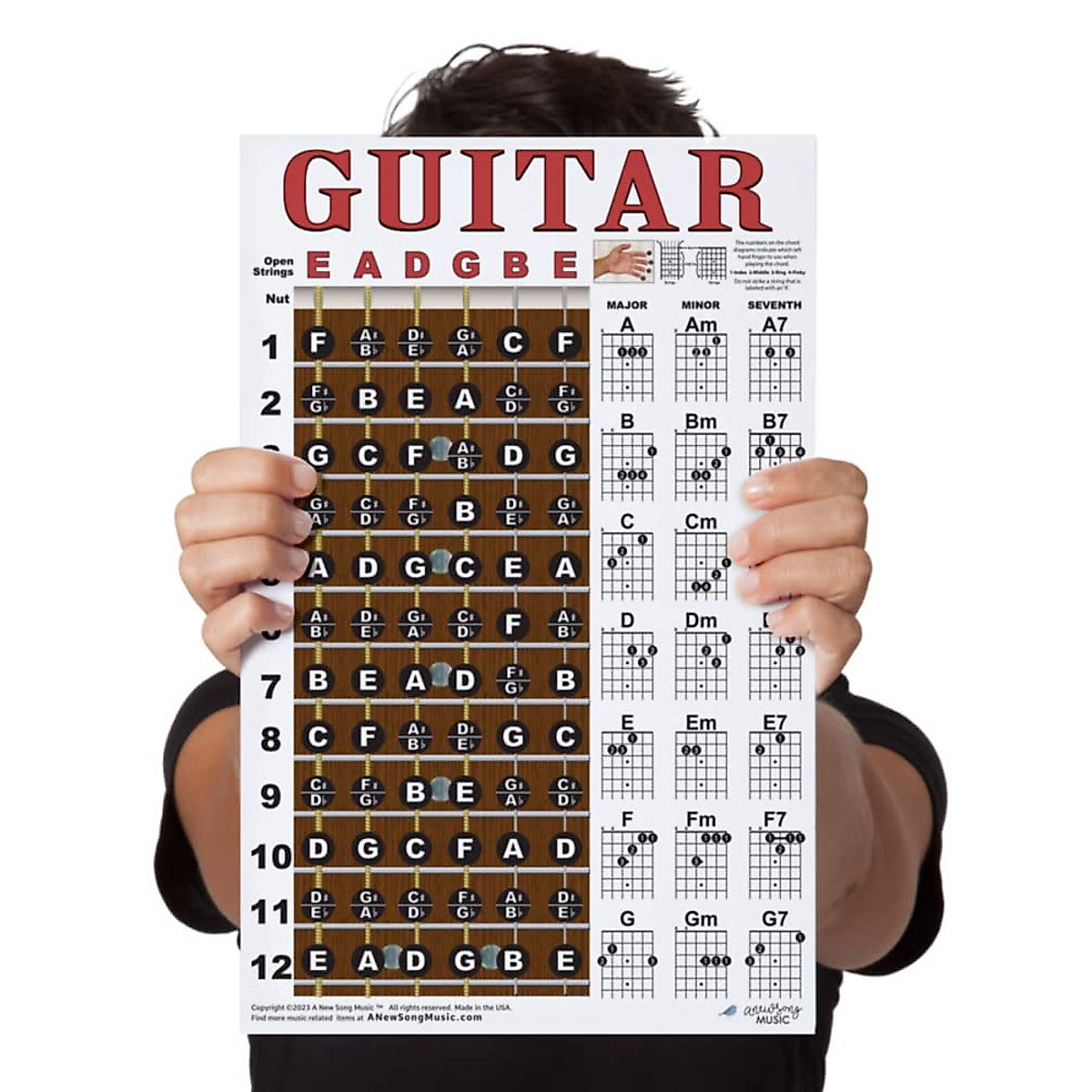 A New Song Music Laminated Guitar Chord & Fretboard Note Chart Instructional Easy Poster for Beginners Chords & Notes 11"x17"