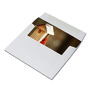 Small World Greetings Song Bird Note Cards With Identification Card 12 Count-Blank Inside with White Envelopes-A2 Size 5.5" x 4.25"-Bird Stationery-All Occasion-Birthday, Thank You, and More