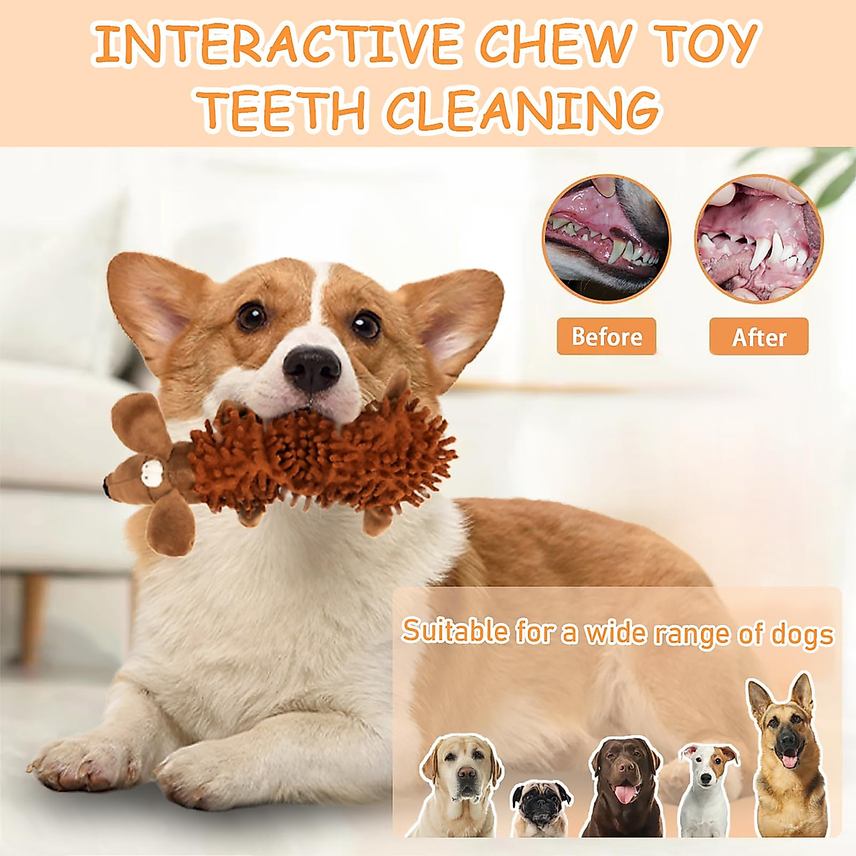 JMZDS&JL Dog Squeak Toys, Puppy Teething Toy, Dog Chewing Toys for Puppies, Medium Size Dogs, Plush Stuffed Crinkle Pet Chew Toys, Texture Exploration, Stuffed Animals for Dogs.（6pack）