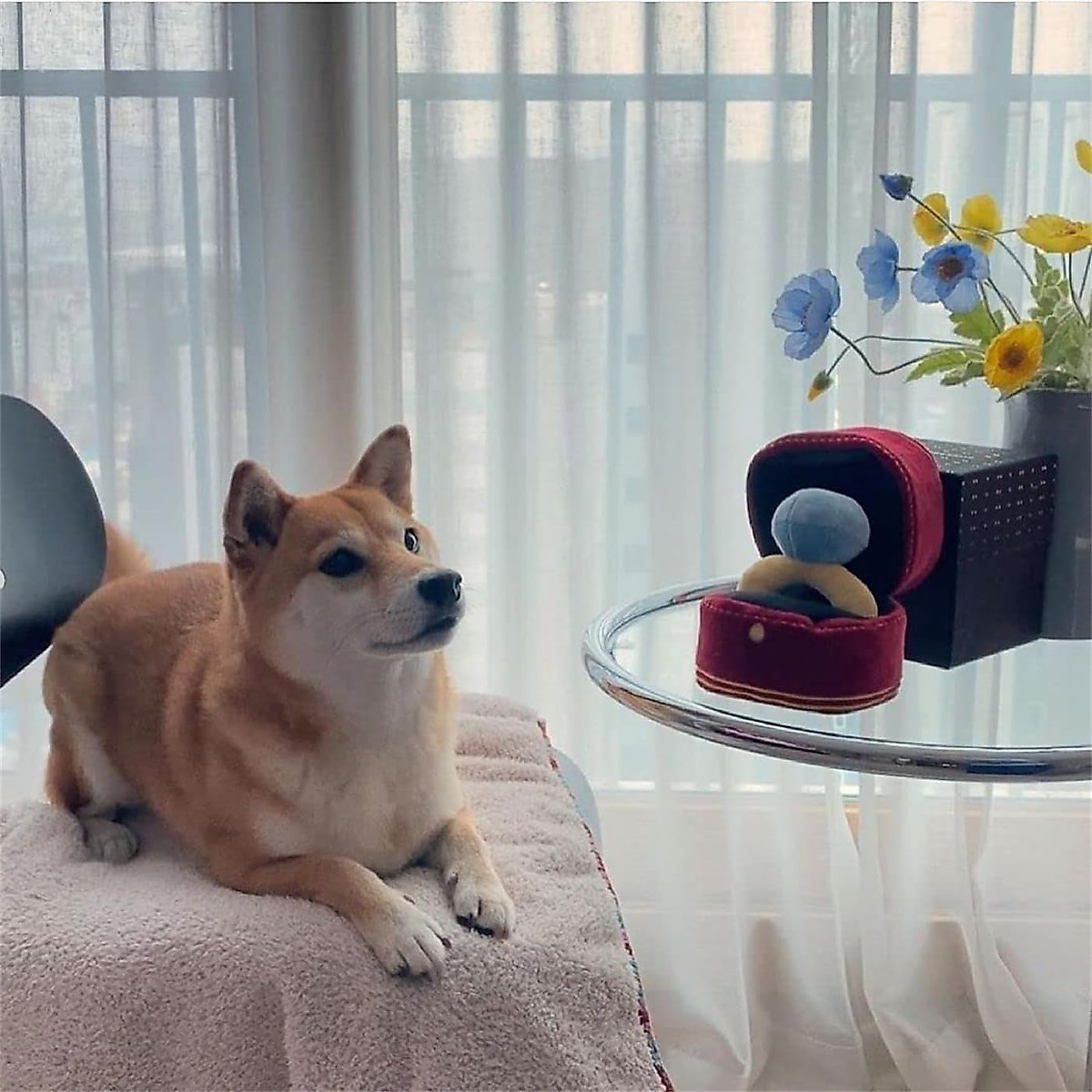 Love Ring Case Stuffed Plush Toy,Creative Ring Box Plush Toy,Plush Dog Toys Ring Box for Small Medium Large Dogs Training Playing (1PCS)