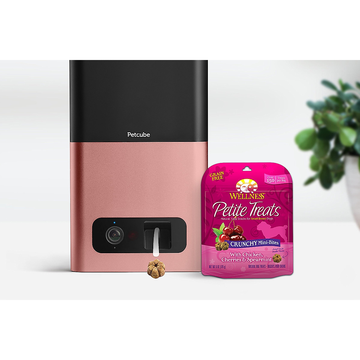 [2017 Item ] Petcube Bites Pet Camera with Treat Dispenser: HD 1080p Video Monitor, 2-Way Audio, Night Vision, Sound and Motion Alerts. For Dogs and Cats