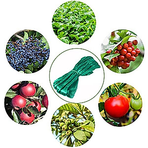 CandyHome Bird Netting for Garden,13Ft x 33Ft Reusable Garden Netting Plants Barrier, Plant Netting Mesh Net Protect Fruit Trees Seedlings Plants from Birds, Squirrels, Cicadas,Rodents