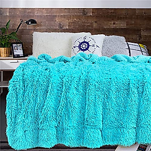 Andecor Soft Fluffy Faux Fur Throw Blanket - 50 x 60 Inches Plush Lightweight Warm Shaggy Fleece Blankets for Bed Couch Sofa Chair Home Decorative, Teal Blue