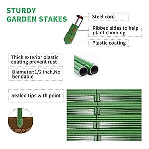 5ft 6-Pack Tomato Cage Support Green Garden Plant Sticks/Stakes for Climbing Plants, Vegetables, Fruit, Flowers