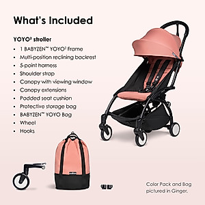 BABYZEN YOYO2 Stroller + YOYO Bag - Includes Black Frame, Grey Seat Cushion, Grey Canopy, Grey YOYO Bag, Wheel Base & Hooks - Suitable for Children Up to 48.5 Lbs