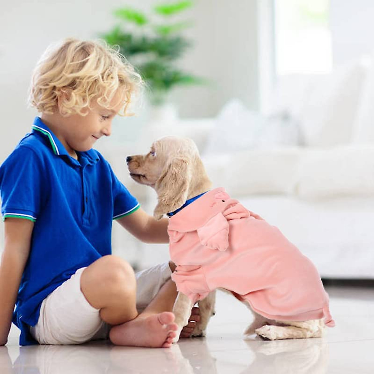 French Bulldog Clothes, Doggie Hoodie Sweatshirt, Dog Sweater for Small Medium Dogs Cats, Dog Hooded Jackets for Pug English Boston Terrier Bully Pitbull Corgi, Chihuahua, Dog Clothes Costume