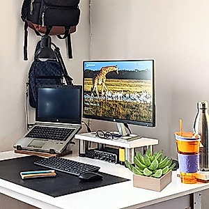 Rustic Wooden Box Small Wooden Box,4 Pieces Small Wood Square Storage Organizer Container Craft Box Small Wooden Box for Collectibles Home Venue Desktop Drawer Decor Succulent Pot ( 4'' x 4'' )