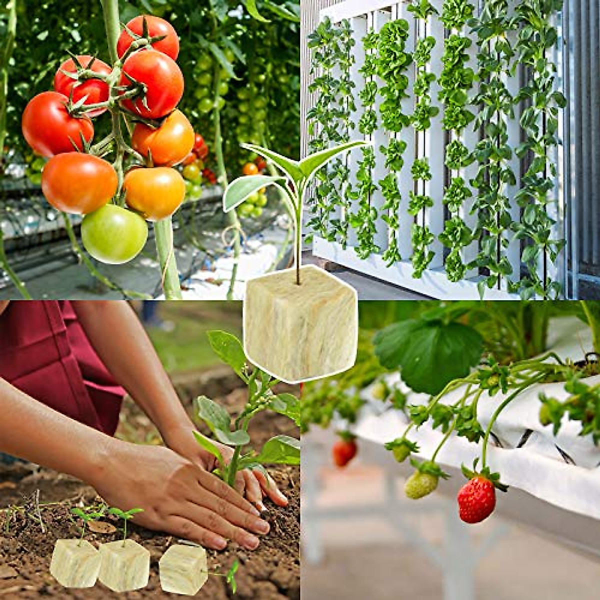 Halatool 1.5 Inch Garden Rockwool Stonewool, Rockwool Grow Cubes, 4 Sheets Starter Plugs for Soilless Cultivation, Seedlings Cuttings, Clone Plants, Hydroponics Germination Start (196 Plugs in Total)