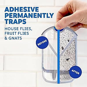 Zevo Flying Insect Trap, Fly Trap Refill Cartridges (4 Total Refill Cartridges)