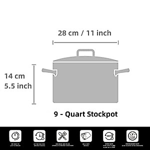 Cooks Standard Professional Stainless Steel Dutch Oven Stockpot with Lid, 9Qt