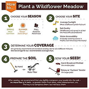 Mellow Yellow - Yellow Flower Seed Mix - 5 Pounds - Yellow/Mixed Wildflower Seeds, Attracts Bees, Attracts Butterflies, Attracts Hummingbirds, Attracts Pollinators, Easy to Grow & Maintain, Cut