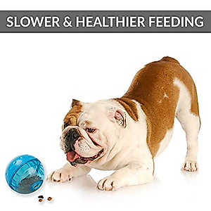OurPets IQ Treat Ball Interactive Food Dispensing Dog Toy , Assorted Colors