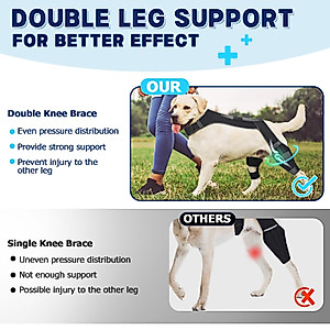 Dog Double Knee Brace for Torn ACL Hind Legs, Non-Slip Dog Double Leg Brace for Back Legs with Comfort Vest, Enhanced Stability Dog ACL Hip Brace with 2 Metal Strips for Ligament Injuries（Black,1-C)