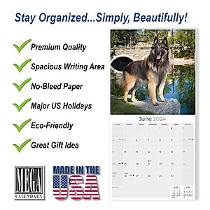2023 2024 Belgian Shepherd Calendar - Dog Breed Monthly Wall Calendar - 12 x 24 Open - Thick No-Bleed Paper - Giftable - Academic Teacher's Planner Calendar Organizing & Planning - Made in USA