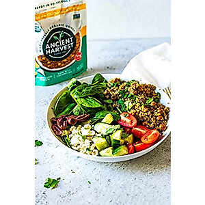 Ancient Harvest Microwavable Quinoa Sea Salt, USDA Organic, Non-GMO ingredients, Ready to Eat, Vegan Plant Based Protein, Gluten-Free, No Refrigeration Required, Family Size 16oz (Pack of 6)