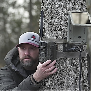 Stealth Cam 40MP Deceptor Max Cellular Trail Camera with 0.4-Second Trigger Speed (2-Pack) Bundle with 32GB Memory Card (2-Pack) and 4-in-1 Card Reader (4 Items)