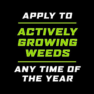 Ortho GroundClear Weed & Grass Killer Ready-to-Use - Grass Weed Killer Spray, Use in Landscape Beds, Around Vegetable Gardens, on Patios & More, Broadleaf Weed Killer, See Results in 15 Minutes, 1 gal