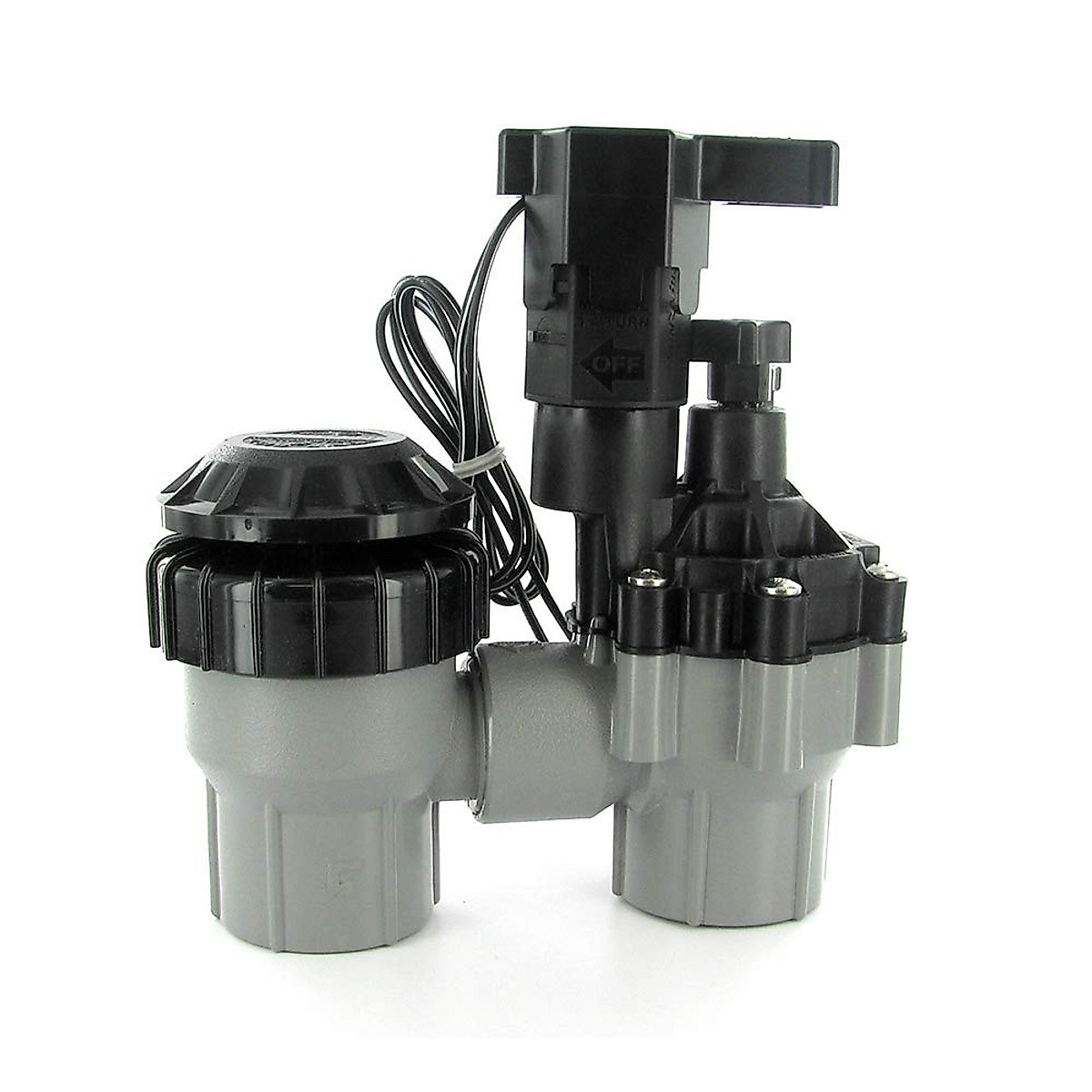 Rain Bird ASVF Anti-Siphon Valve with Flow Control 3/4 in. FPT | 075-ASVF