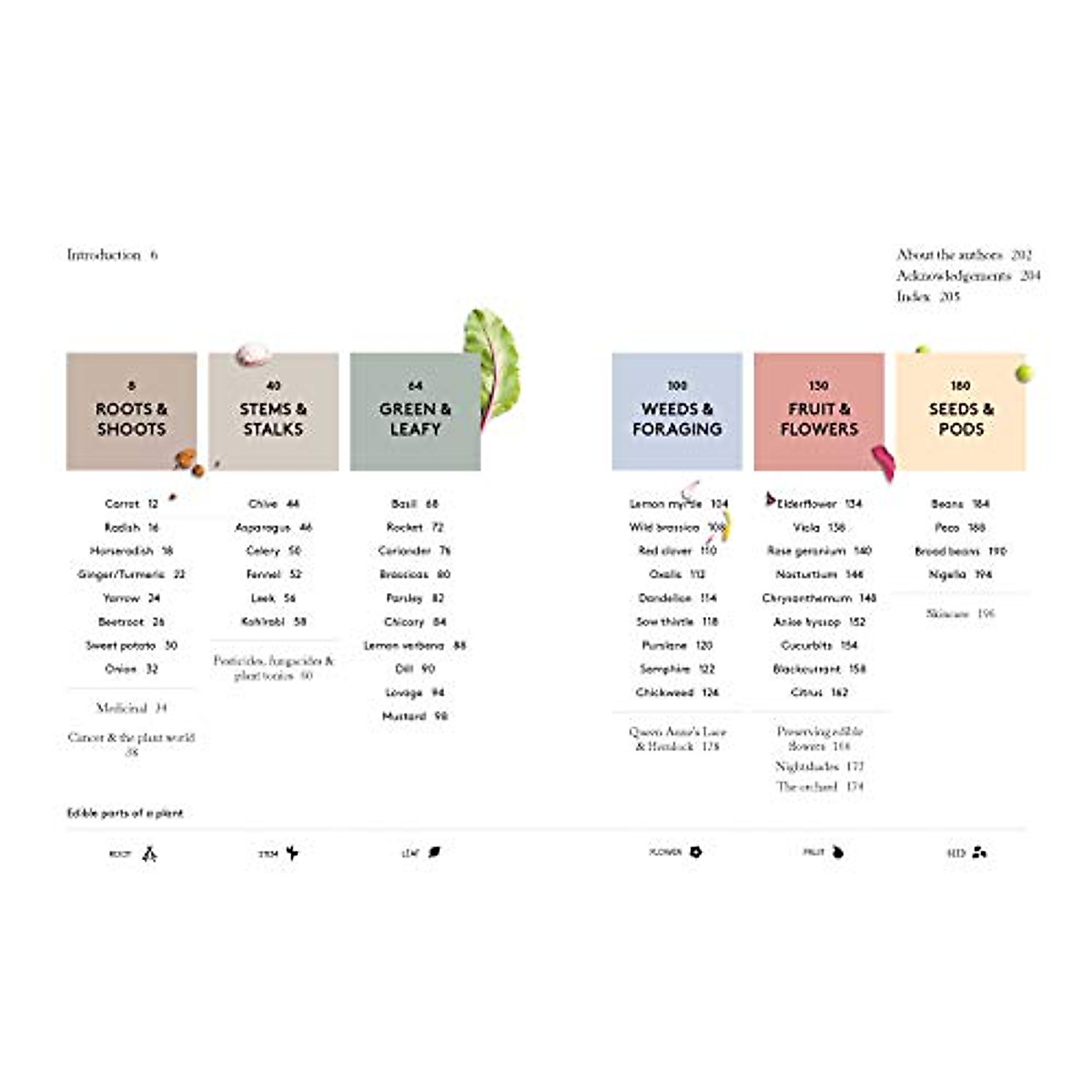 Root to Bloom: A Modern Guide to Whole Plant Use
