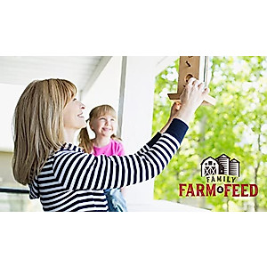 FAMILY FARM AND FEED | Four Seasons | Striped Sunflower Seed | Wild Bird Food | Backyard Songbird | 3 Pounds