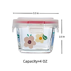 Ivymei 2 Pack Mini Square Round Glass Containers with lids,Small Floral Food Storage Contaiers Glass Food Jars for Food Portion,Dipping Sauce,Snack,Yogurt,Leakproof,Microwave Freezer Safe