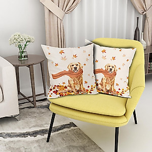 Granbey Golden Retriever Dog Fall Throw Pillow Cover Autumn Maple Leaves Farmhouse Pillowcase Cute Pet Modern Thanksgiving Decorative Pillow Protector for Home Sofa Couch Party Living Room