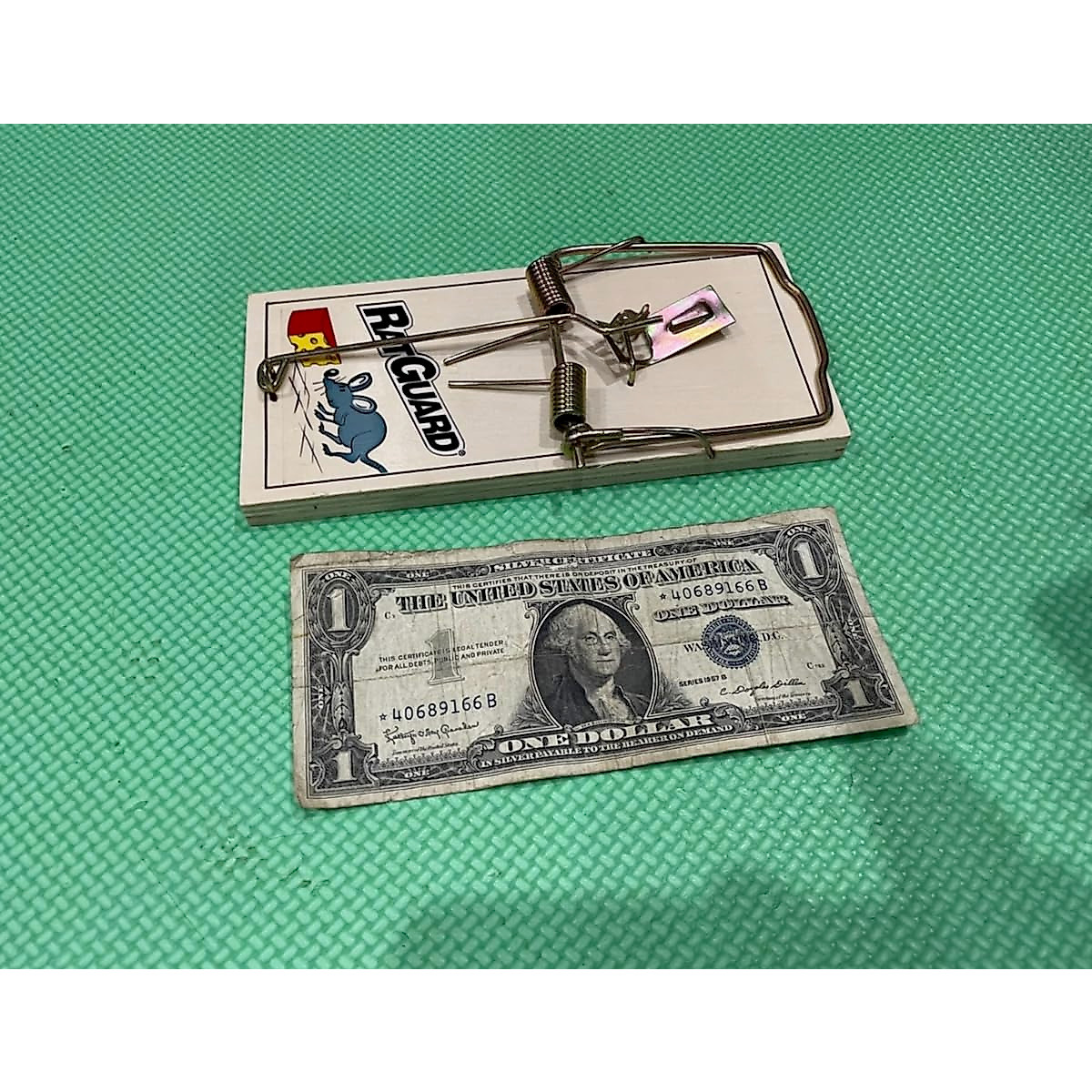 Harrier Hardware 12-Pack Rat Trap Bulk Set - Reliable Double Spring Mechanism with Sturdy Wood Base and Metal Plate for Indoor and Outdoor Quick Strong Snap