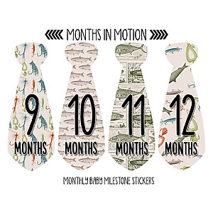 Months In Motion Monthly Baby Tie Stickers - Boy Month Milestone Necktie Sticker - Onesie Month Sticker - Infant Photo Prop for First Year - Shower Gift - Newborn Keepsakes - Fish Fishing