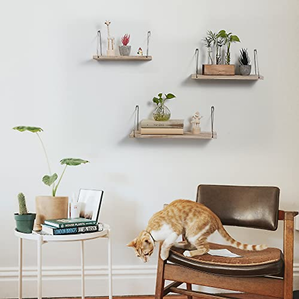 MITIME Floating Shelves Set of 3 Rustic Solid Wood Floating Shelf Wall Storage Shelves for Living Room, Bedroom, Bathroom, Kitchen Laundry, Office (Light Colour L+M+S)