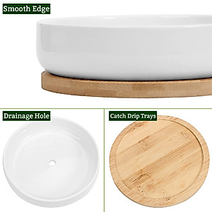 ZOUTOG Succulent Pots, 6 inch White Ceramic Flower Planter Pot with Bamboo Tray, Pack of 2 - Plants Not Included
