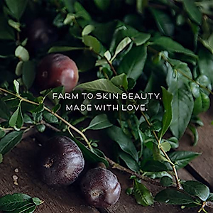 Farmstead Apothecary 100% Natural Anti-Aging Face Cream with Jojoba Oil, 4 oz (Fig & Honeysuckle)