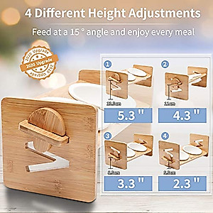 BINGBING Raised Pet Bowl for Cats and Small Dogs, Adjustable Elevated Dog Cat Food and Water Bowl Stand Feeder with Extra Stainless Steel Bowls (Small to Medium with 4 Bowls)