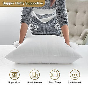 Acanva Bed Pillows for Sleeping, Cooling Hotel Quality with Premium Soft 3D Down Alternative Fill for Back, Stomach or Side Sleepers, Queen (Pack of 4), White 4 Count