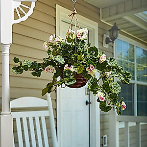 Pure Garden Faux Flowers - Light Pink Geranium Hanging Natural and Lifelike Floral Arrangement with Basket for Home or Office