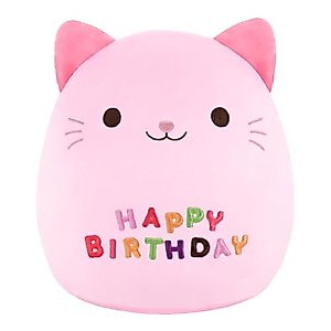 9.8 inch Cat Plush Birthday Plush Pillow, Pink Cute Cat Birthday Plush Toy, Birthday Party Decoration Birthday Gift for Kids (Pink Cat)